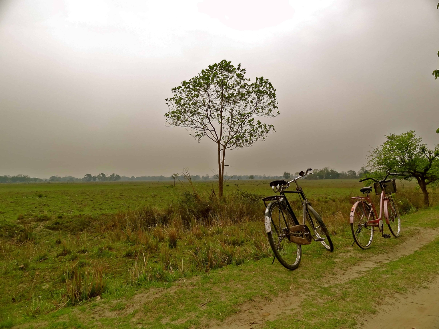 In Photos: Majuli Island, Assam. - The Shooting Star