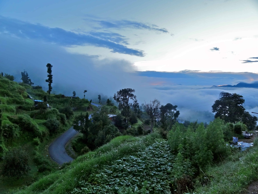 Te Aroha Dhanachuli: Under the Yellow Rooftops | The Shooting Star
