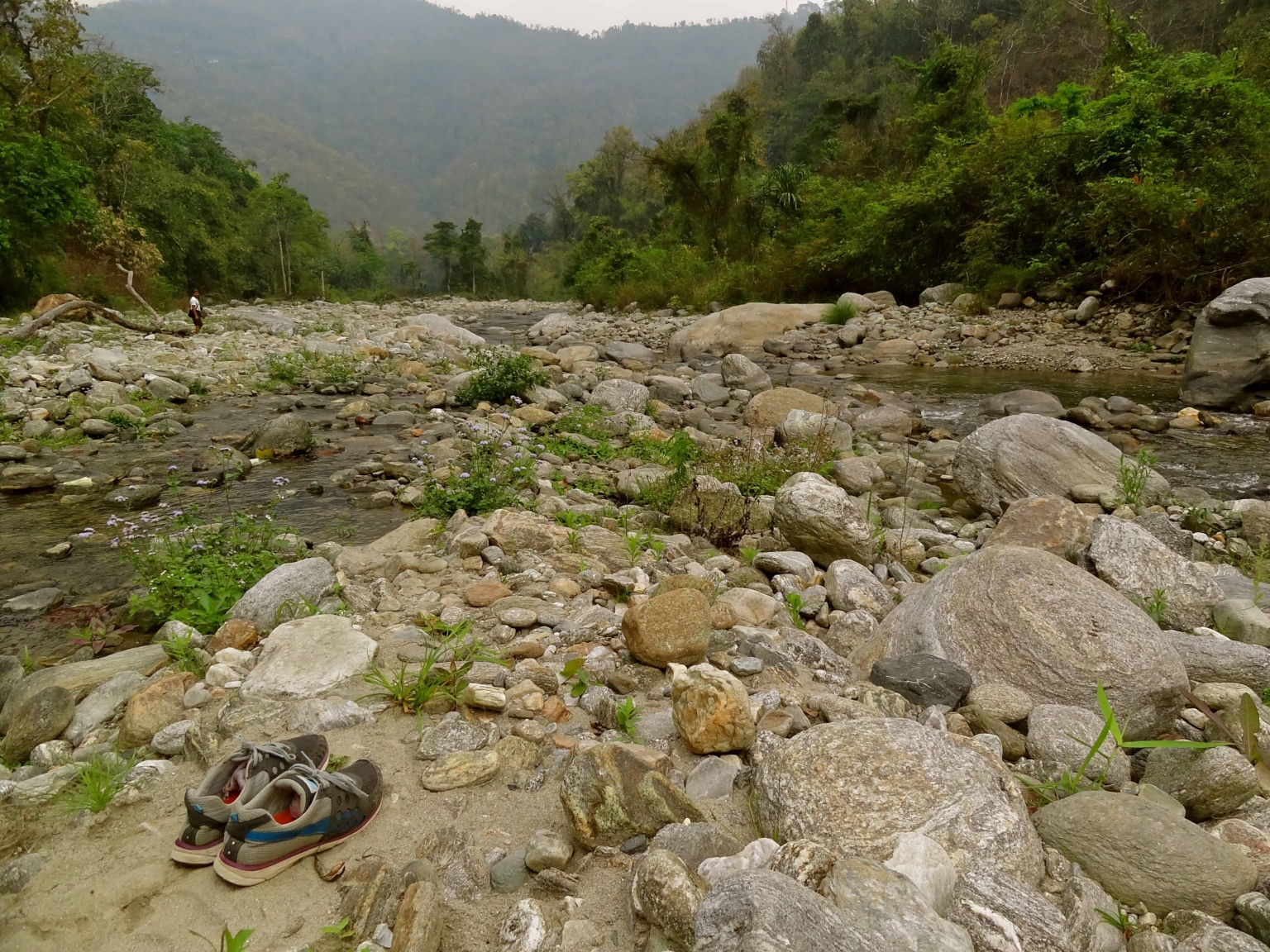 Hiking from Darjeeling to Sikkim! | The Shooting Star