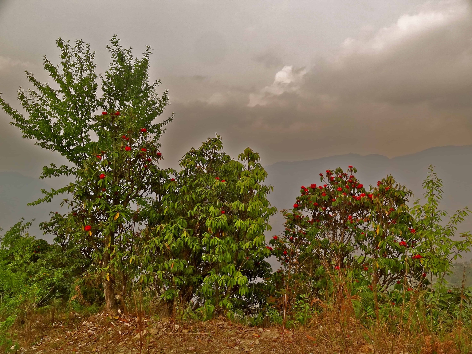 Sikkim Travel Blog: Exploring the Lost Kingdom | The Shooting Star