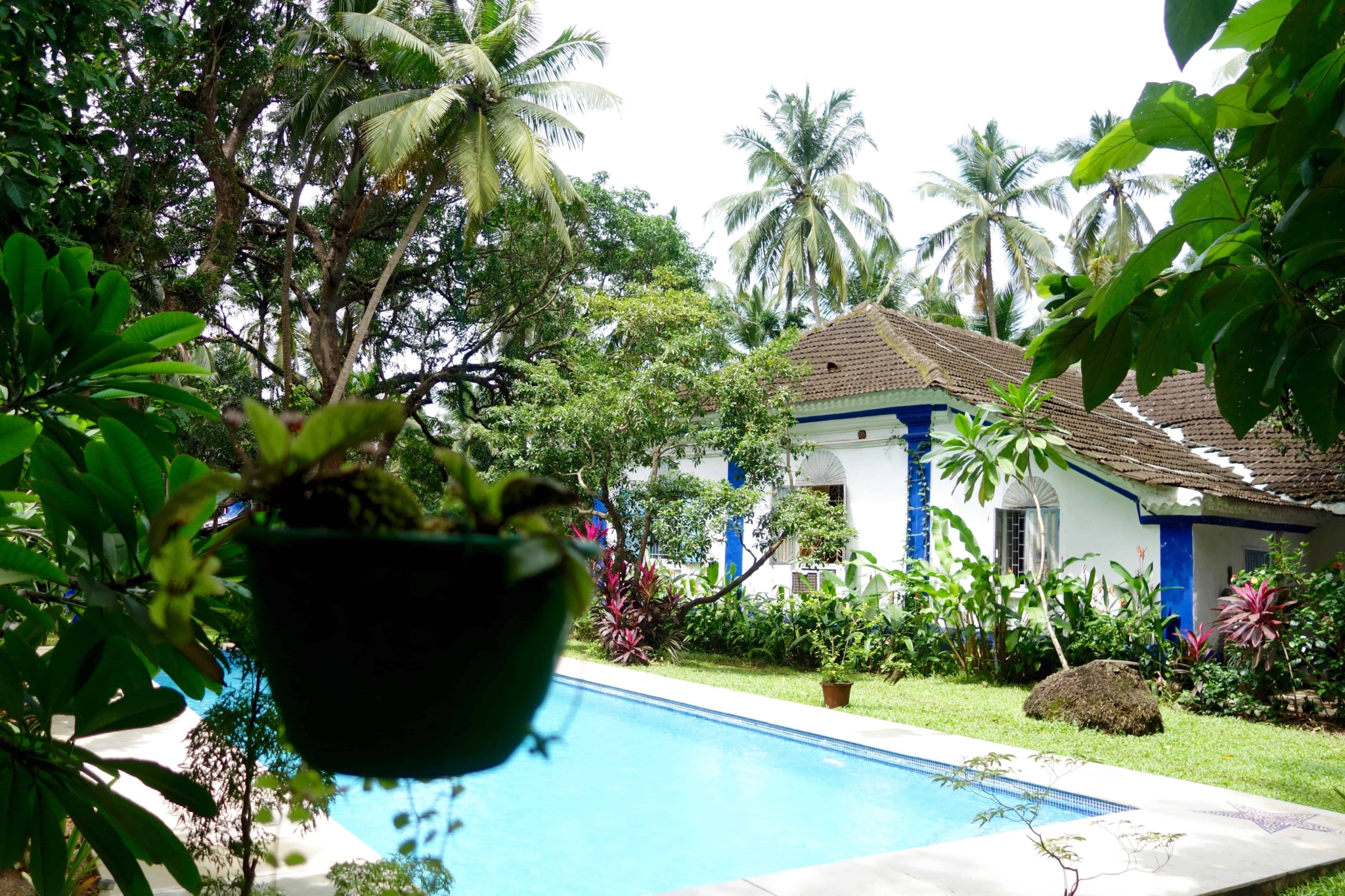 My Alternative Travel Guide to Goa | The Shooting Star