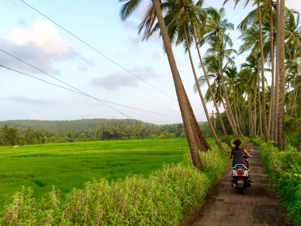 My Alternative Travel Guide to Goa | The Shooting Star
