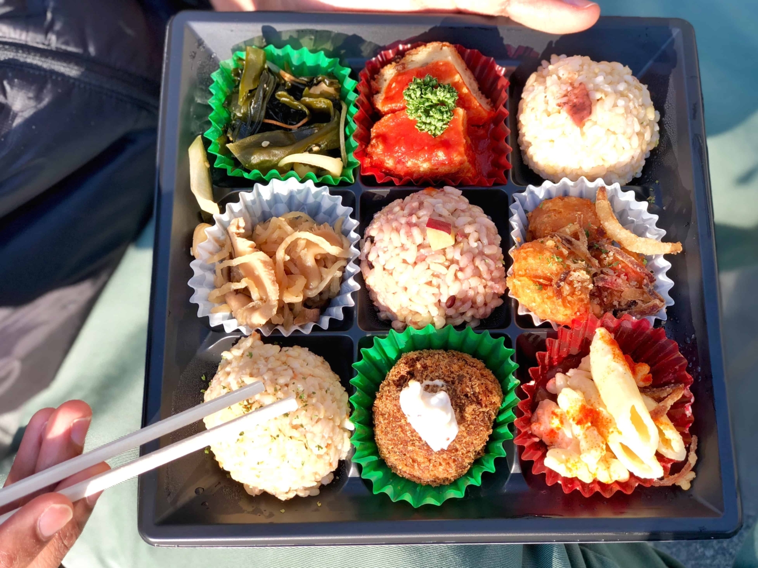 Vegan in Japan: How I Travelled For a Month, Beyond the Popular Cities!