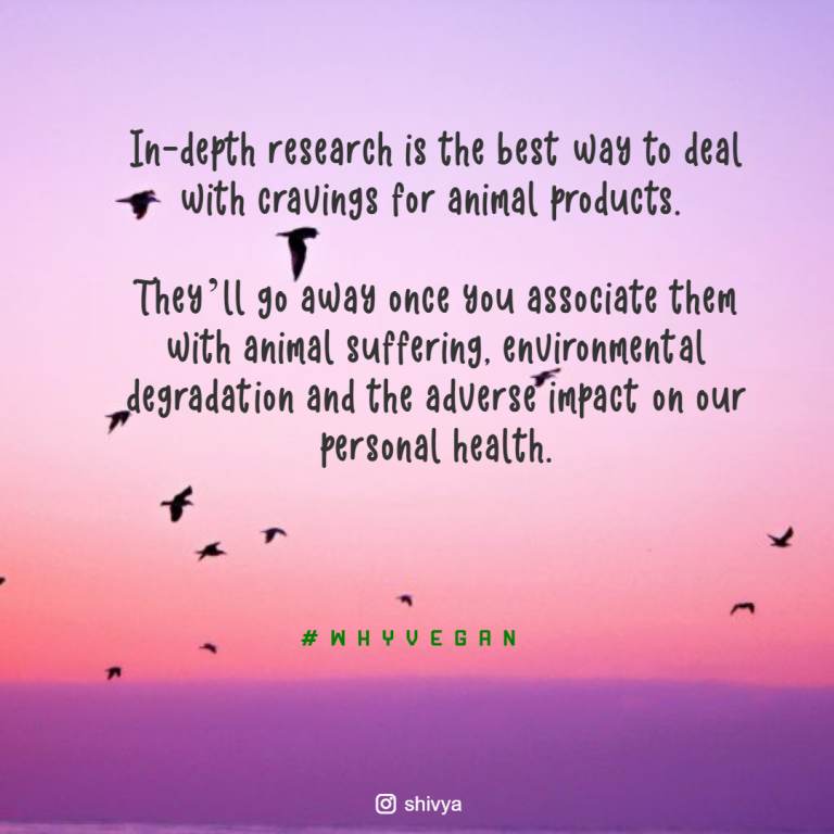 How To Go Vegan: 11 Easy Transition Tips | The Shooting Star