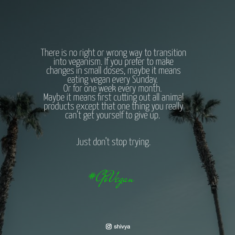 How To Go Vegan: 11 Easy Transition Tips | The Shooting Star