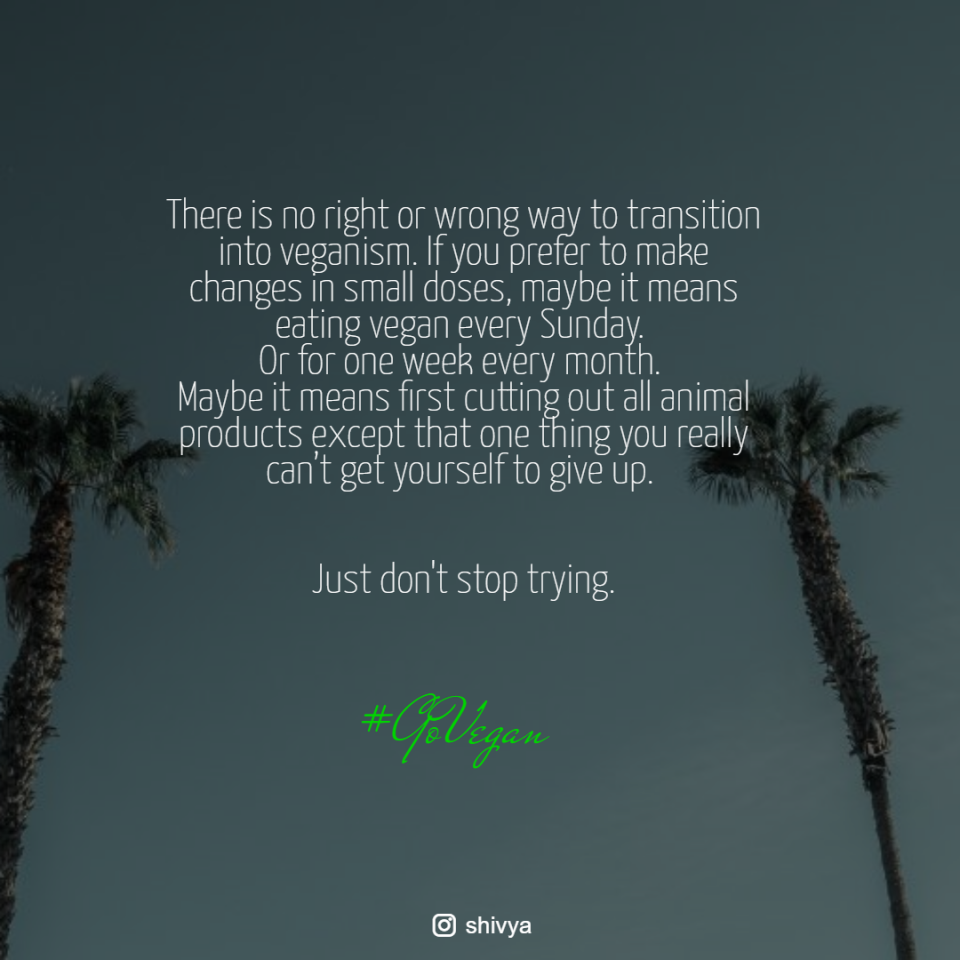 How To Go Vegan: 11 Easy Transition Tips | The Shooting Star